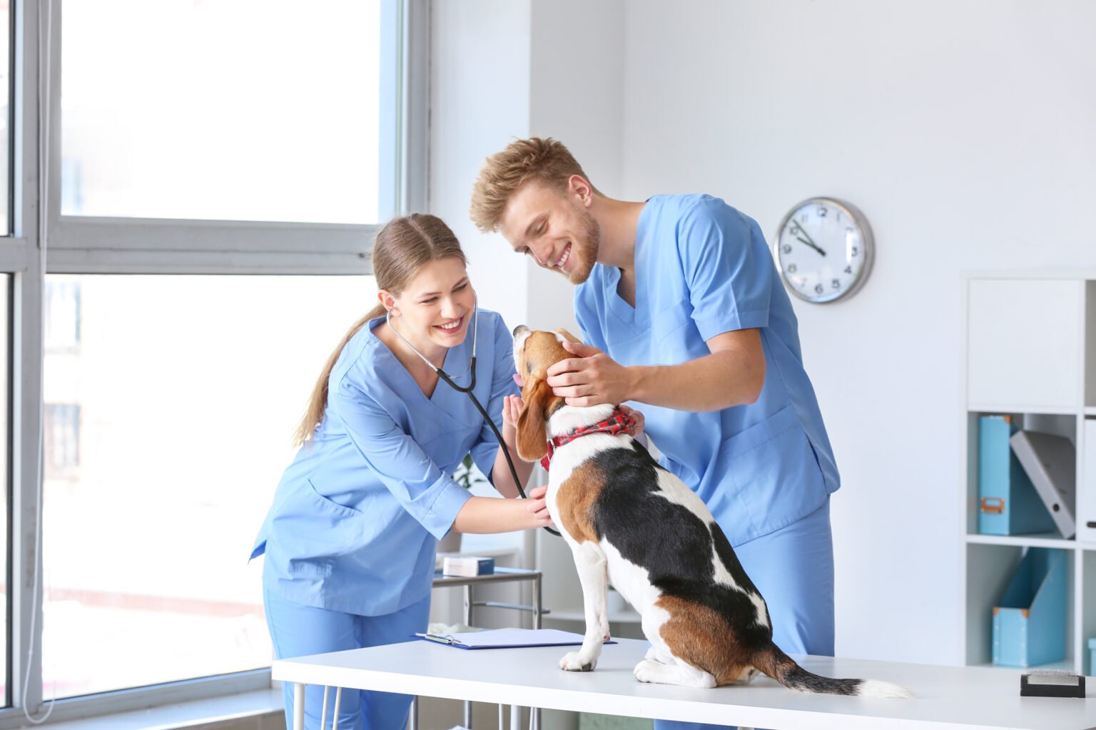 Veterinary Diagnostics | Lakeville Family Pet Clinic
